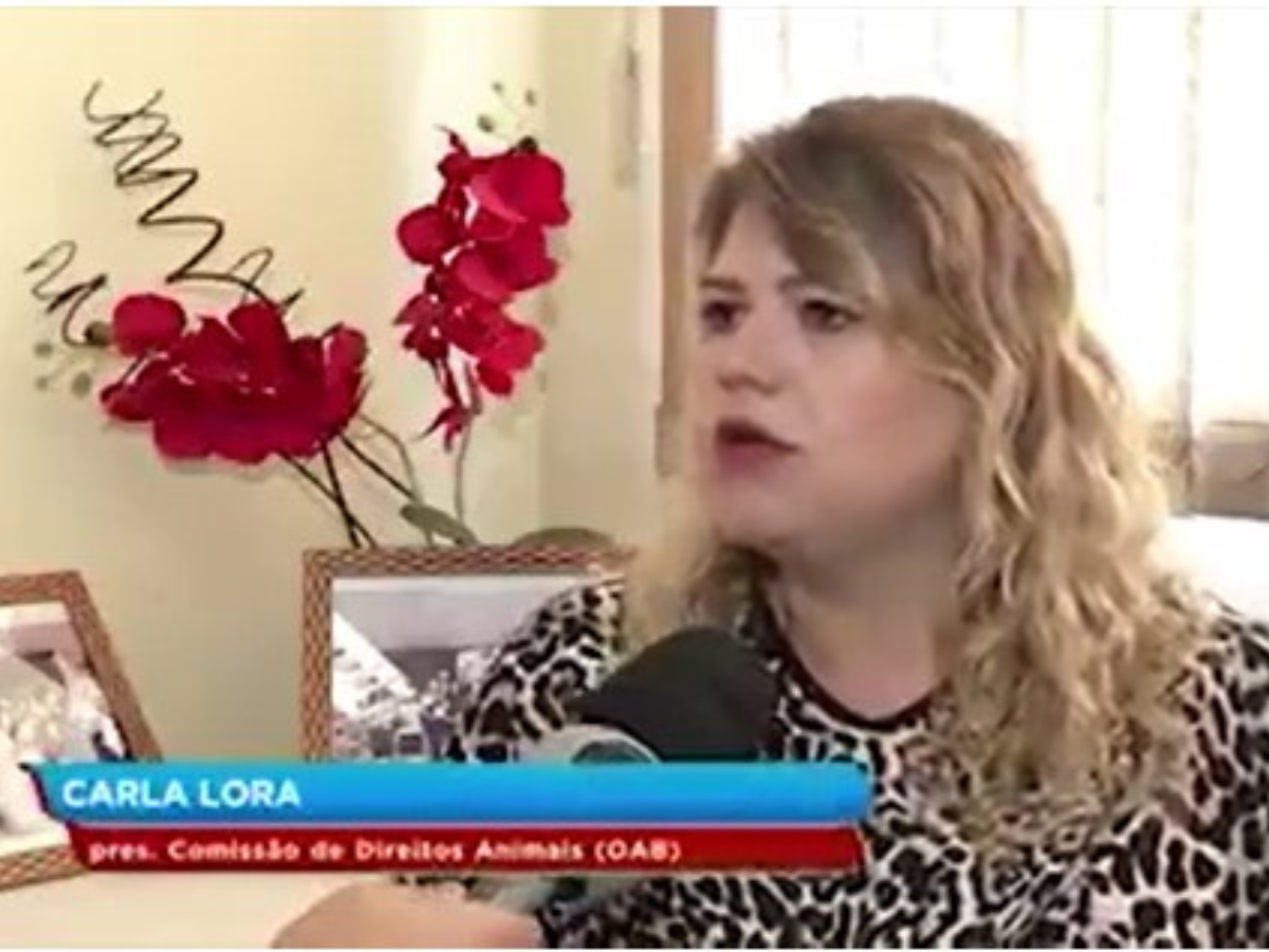 Entrevista Cedida a TVB Record de Campinas - OAB SP